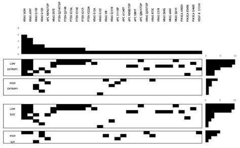 Gene Map Representing All Gene Mutation Status Available For The 12 Download Scientific Diagram