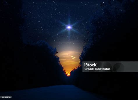 Стокове фото Яскрава Зірка На Зоряному Нічному Небі Силует Лісу І Нічної Дороги Сонячне Світло