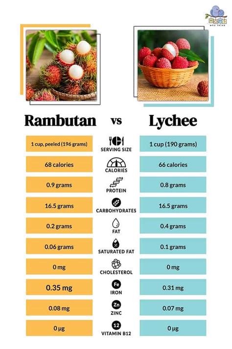 Rambutan Vs Lychee 3 Differences And Which Is Healthier