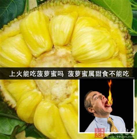学校绿化菠萝蜜能吃吗 小区里的菠萝蜜能吃吗 菠萝蜜怎么吃 第7页 大山谷图库