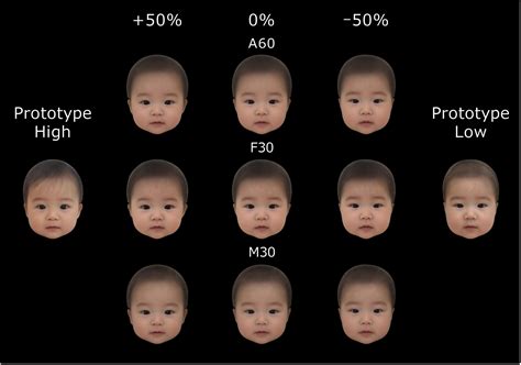 Stepwise Makeup Dataset