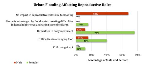 Urban Flooding Impact On Reproductive Roles Download Scientific Diagram