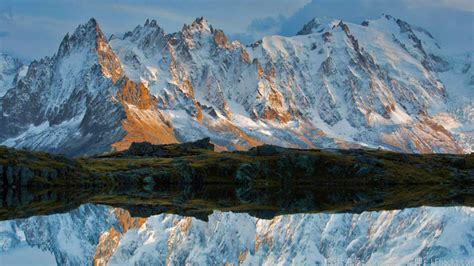 Python 中 Defaultdict 的理解 晚花行乐