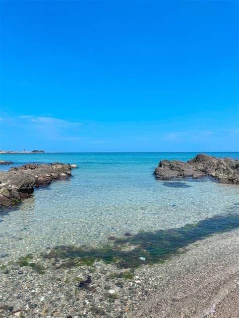 포항 구룡포 스노쿨링 스팟 추천 깨끗하고 조용한 곳 오징어 복어도 만났어요 네이버 블로그
