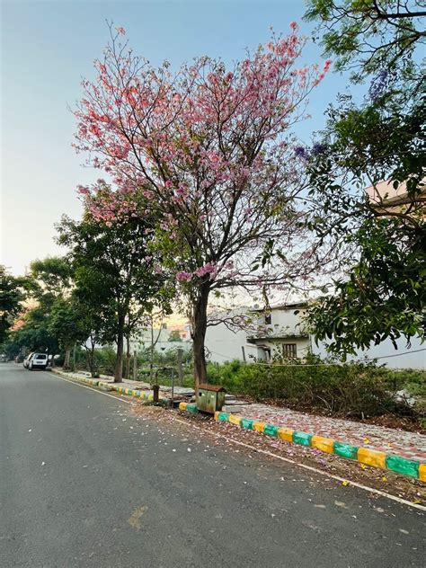 Ali Shaik On Linkedin Software Databaseadministrator Sqlserverdba