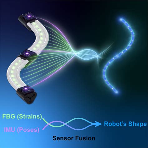Shape Reconstruction Of Soft Continuum Robots Via The Fusion Of Local