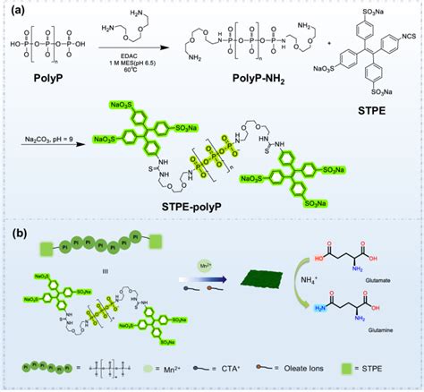生物相容性聚集诱导发射活性聚磷酸锰纳米片在兴奋毒性神经细胞中具有谷氨酰胺合成酶样活性nature Communications X Mol