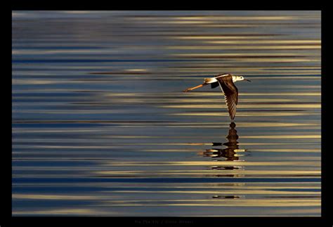 Reasons To Turn Off Your Autofocus