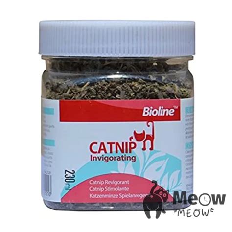 Bioline Catnip Invigorating 230ml Lazada