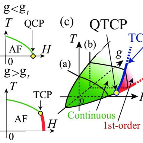 Color Online Schematic Phase Diagram Around The Qtcp Under The Download Scientific Diagram