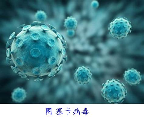 科学网环境微生物及其与人类之关系 王从彦的博文