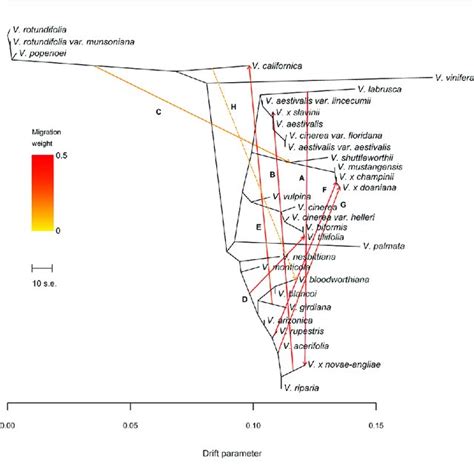 A Maximum Likelihood Ml Tree Inferred By Treemix Allowing Eight