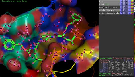 Pymol 分离蛋白与小分子保存；pymol分离蛋白多聚体亚基；pymol对接位点交互图展示；去除杂原子loongxl的博客 Csdn博客