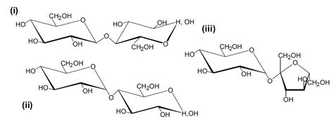 Oligosaccharide Structure