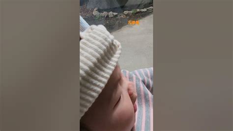 아빤 신나고 아가는 지루하고 육아 아기 Youtube