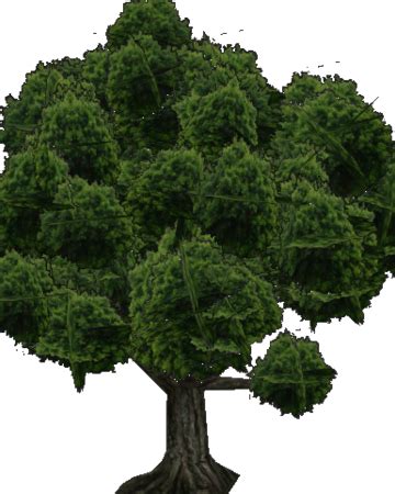Detail Realistic Tree Png Koleksi Nomer 25