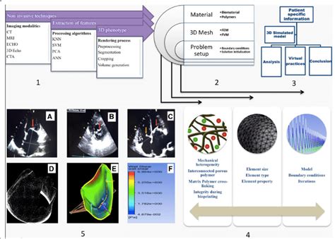 Schematic Representation Of The Cardiovascular Modeling Process For Download Scientific Diagram