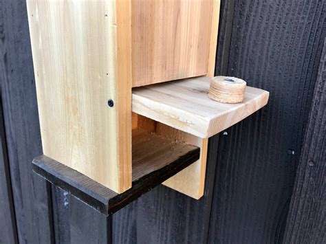 Screech Owl Nesting Box Kestrel Handmade Birdhouse Unique Etsy
