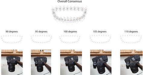 Consensus Configurations For All The Imaged Microliths With The