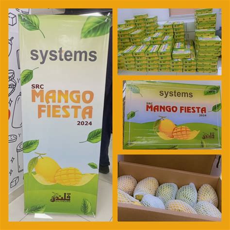 haram mukhtar on linkedin mangofiesta2024 workculture