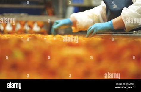 Segregation Process Stock Videos And Footage Hd And 4k Video Clips Alamy