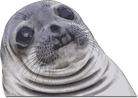 Awkward Face Memes