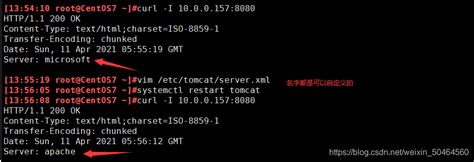 解决Apache Tomcat版本泄露Apache Coyote 自定义 灰信网软件开发博客聚合