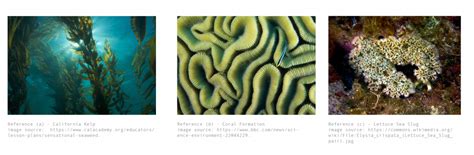 Recursive Growth Python Exercise IAAC Blog