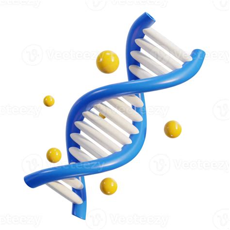 3d Dna Model Labeled