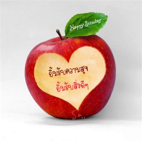 ปักพินโดย Kritsana Suntiari ใน วันพฤหัสบดี วันอาทิตย์ สุขสันต์วันจันทร์ ดอกไม้