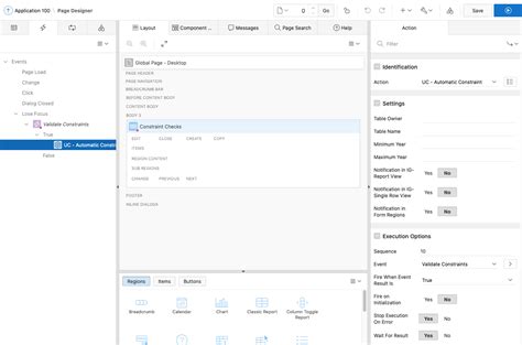 Usage Guide Automatic Constraint Validation