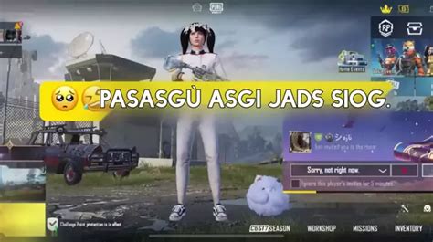 ساک زدن وینی