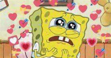 Spongey Album On Imgur