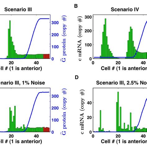 simulated clock waves clock waves in 50 cells for parameter set