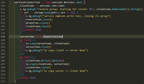 Gshell Socket Leak调查 · My Notes