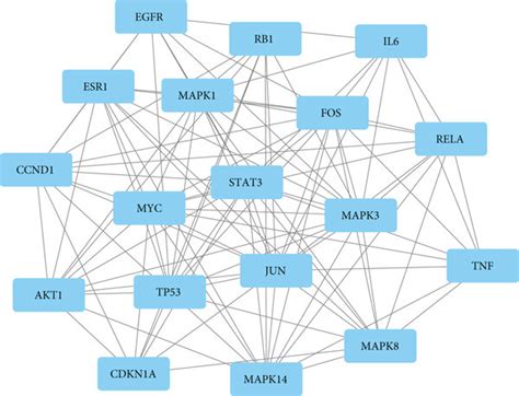 Ppi Network Construction And Key Targets A Ppi Network Of Potential