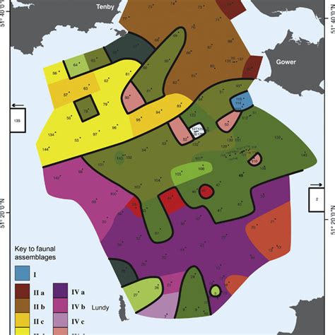 4 Diagrammatic Distribution Map Of The Benthic Macrofaunal Assemblages Download Scientific