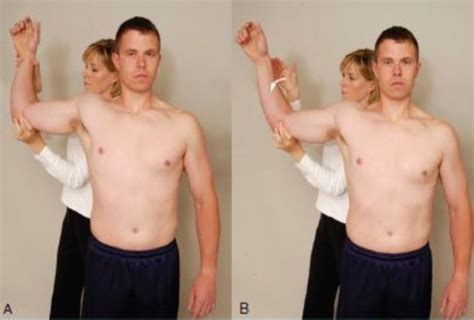 Shoulder Rotator Cuff Special Tests Flashcards Quizlet