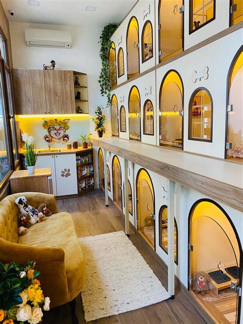 Happy Paws Защото ги обичаме Sofia