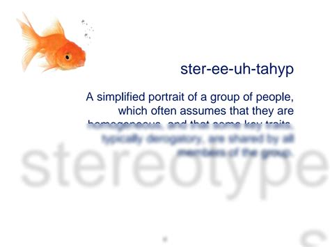 SOLUTION Understanding Stereotypes Studypool