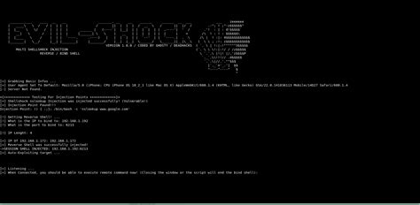 Github Deadhacksevil Shock Shock The Shell Exploit Many Injection