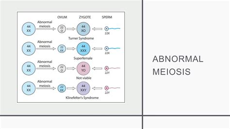 Chromosomal Disorderpptx Sex Differentiation Abnormalities Ppt
