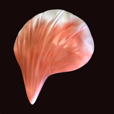 3d render depicting the muscle structure of the human body stock