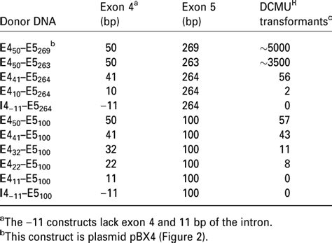 Effect Of Exon Length On Intron Homing Download Table