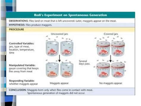 Partner Experiments Codes