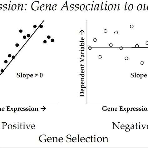 major techniques for detection of snps using microarrays colors and