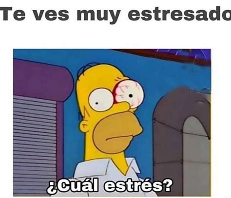 Te Ves Muy Estresado ¿cuál Estrés Memes