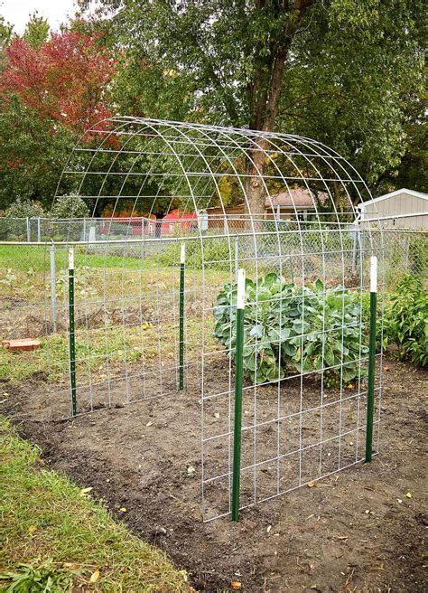 DIY Bean Trellis Better Homes Gardens