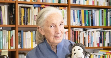 지구를 치유할 수 있는 시간은 열려 있어”제인 구달의 ‘희망의 책