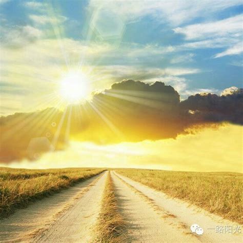 通向阳光的路图片 走在阳光路上的图片 笔直的阳光大路图片 大山谷图库